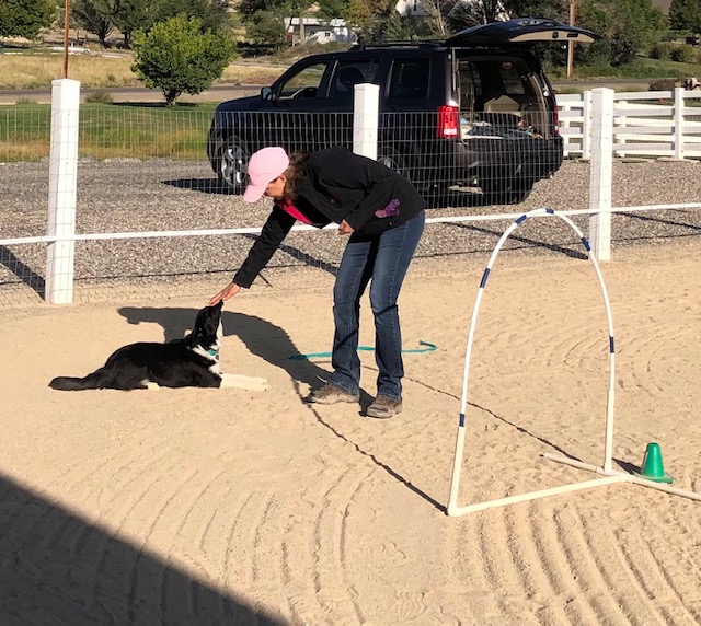 Classes/Events – Trace Your Path Agility, LLC