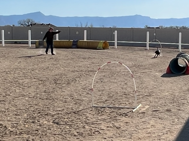 Classes/Events – Trace Your Path Agility, LLC